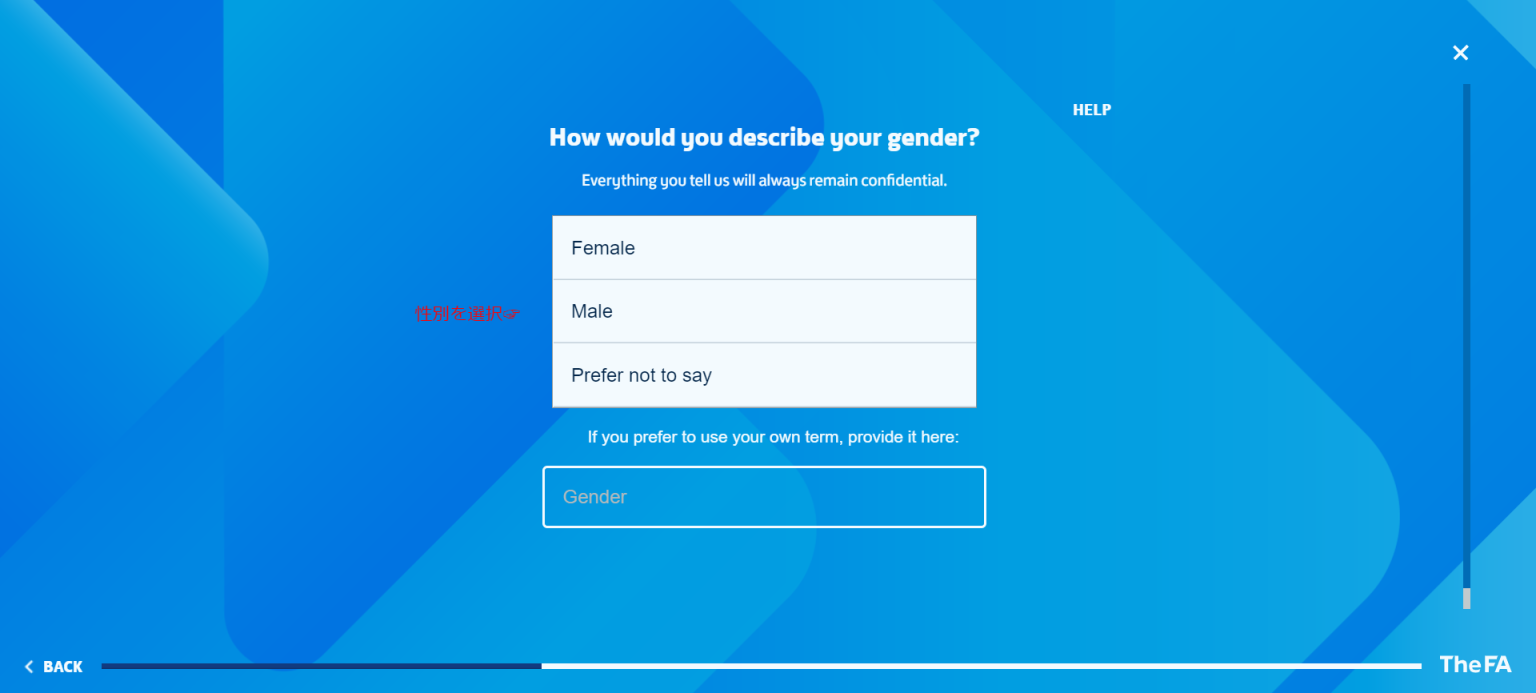 新サービス『The FA Player』~イングランド女子サッカーリーグの全てがこの一つに~ | footbezzies | FIFA ...