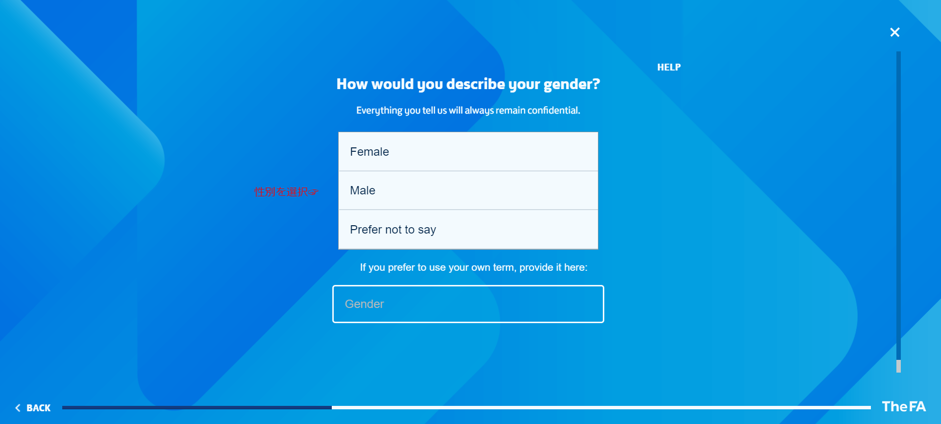 新サービス『The FA Player』~イングランド女子サッカーリーグの全てがこの一つに~ | footbezzies | FIFA ...